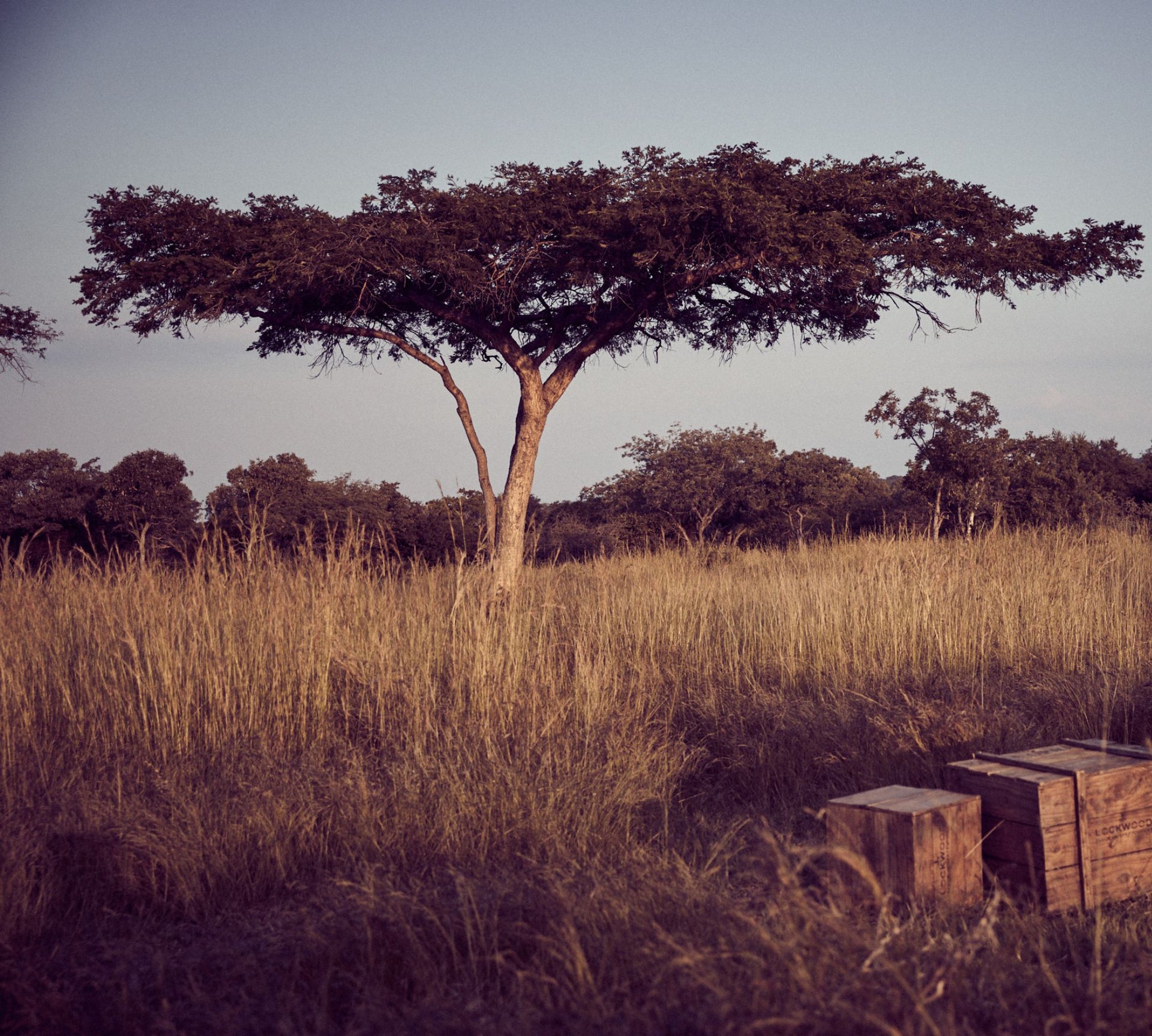 FYNCH-HATTON - Official Online Shop – FYNCH-HATTON | Offizieller Online ...