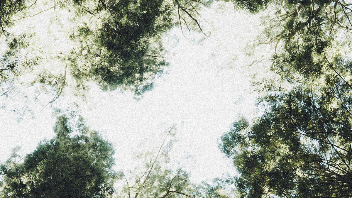 FYNCH-HATTON - Official Online Shop – FYNCH-HATTON | Offizieller Online ...